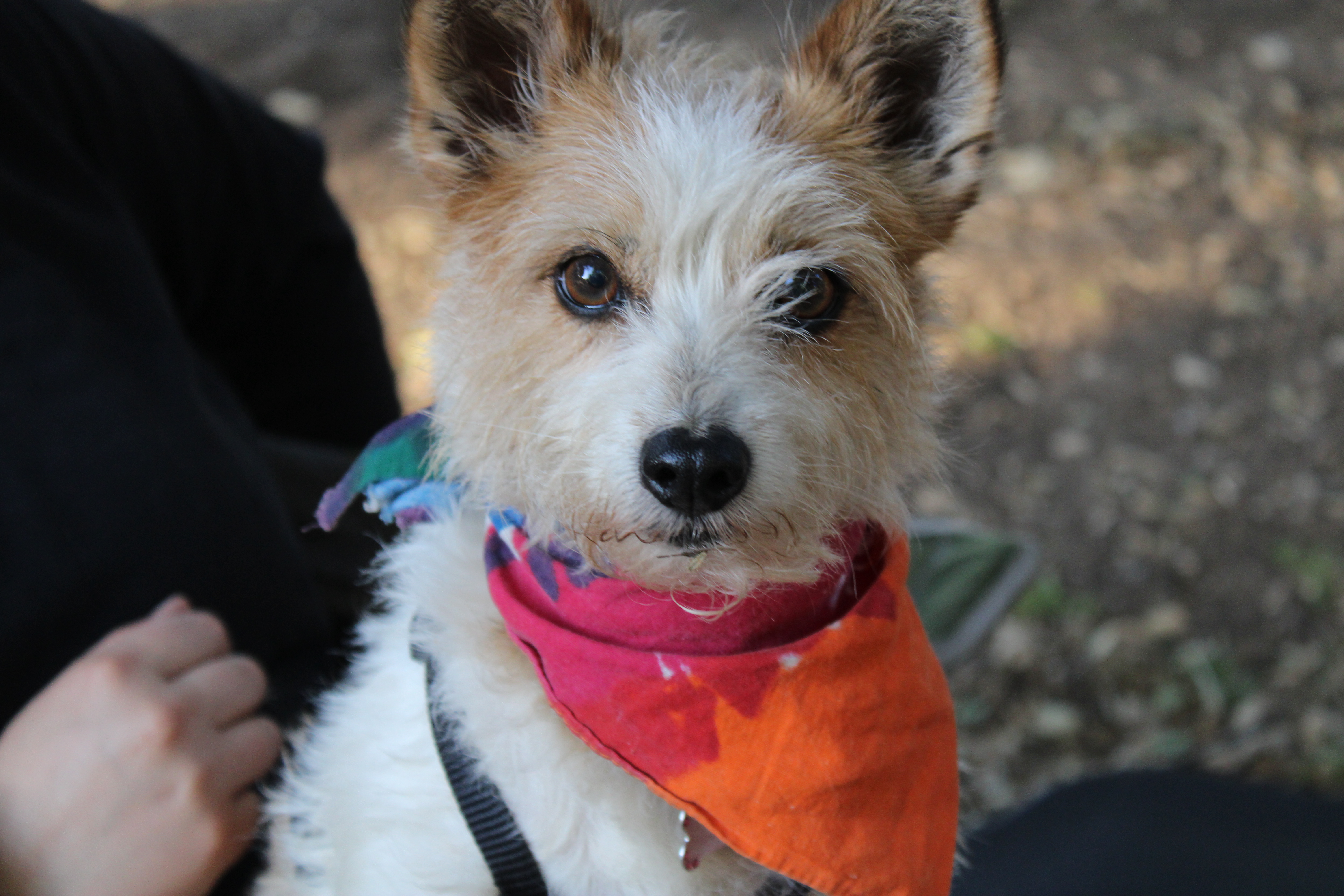 Know/No Boundaries – This Bus Could Be Our Life